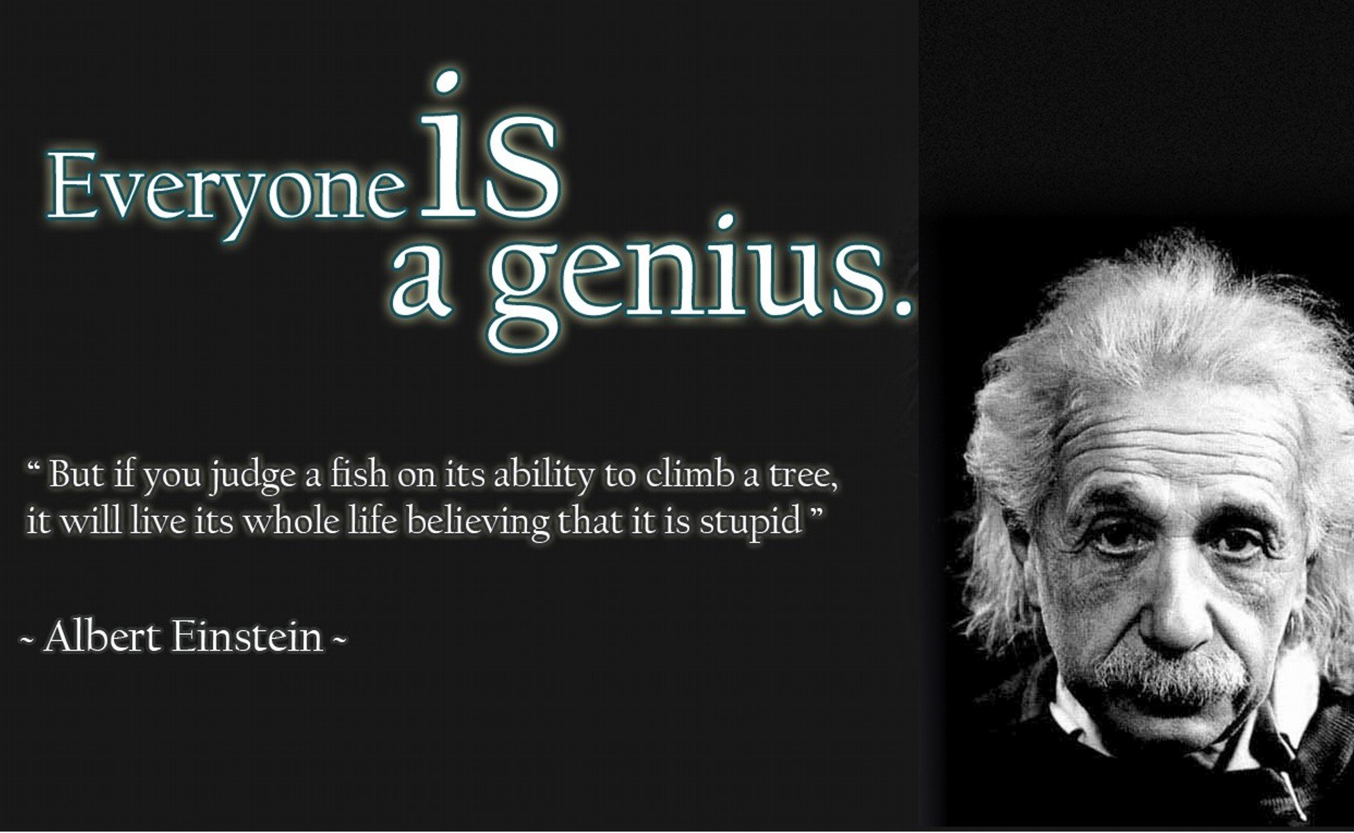 Albert Einstein Quotes Everyone Is A Genius