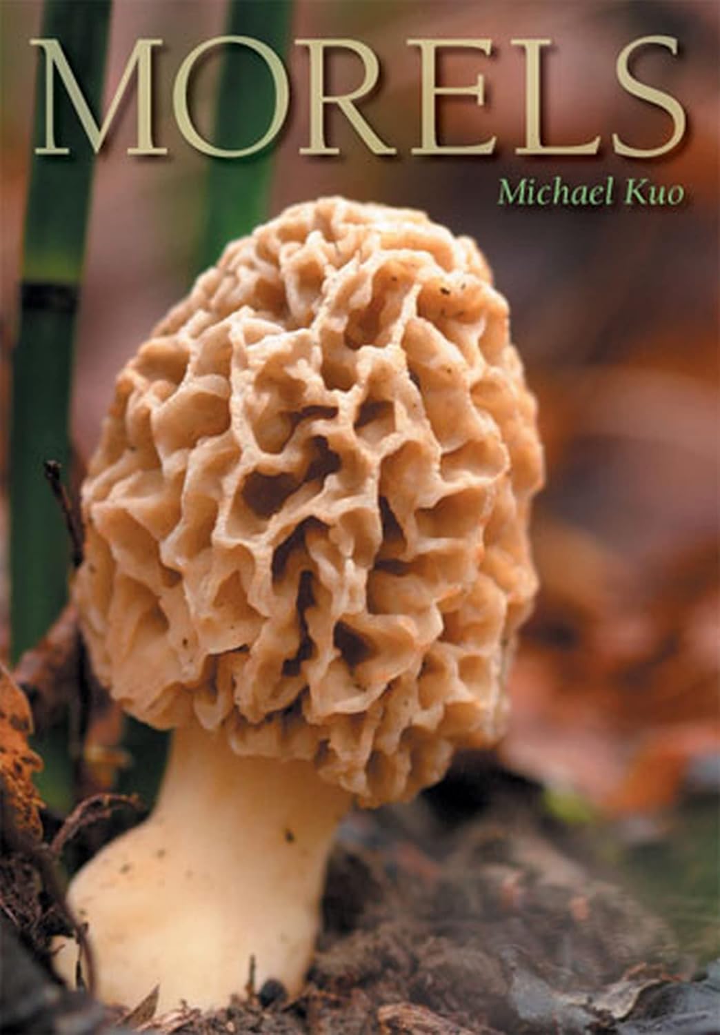 Morels: Kuo, Michael: 9780472030361: Amazon.com: Books
