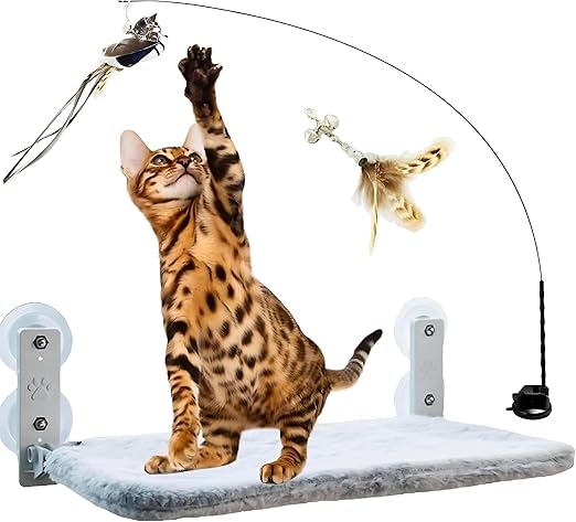 Amazon.com : Cat Bed, Cat Window Perch, Cat Hammock, Cat Bed Window ...