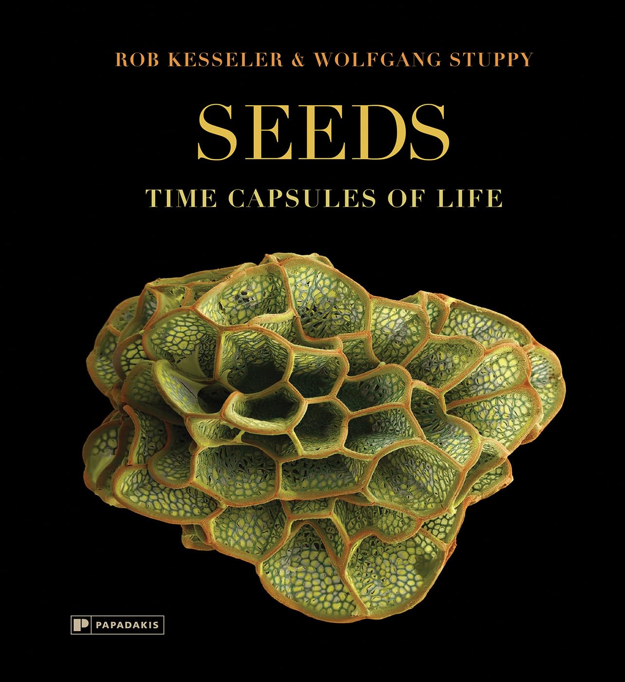 Seeds: Time Capsules of Life (Seeds / Pollen / Fruit): Amazon.co.uk ...