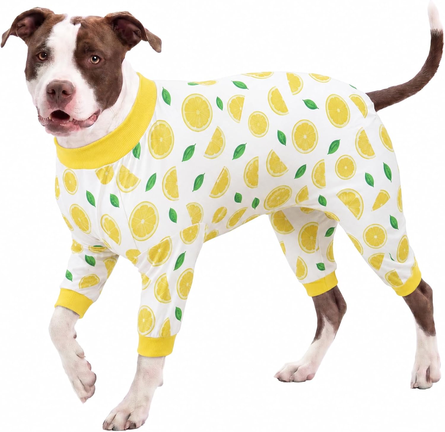 Amazon.com : LovinPet Large Dog Pajamas, Soft Four-Leg Dog PJs for ...