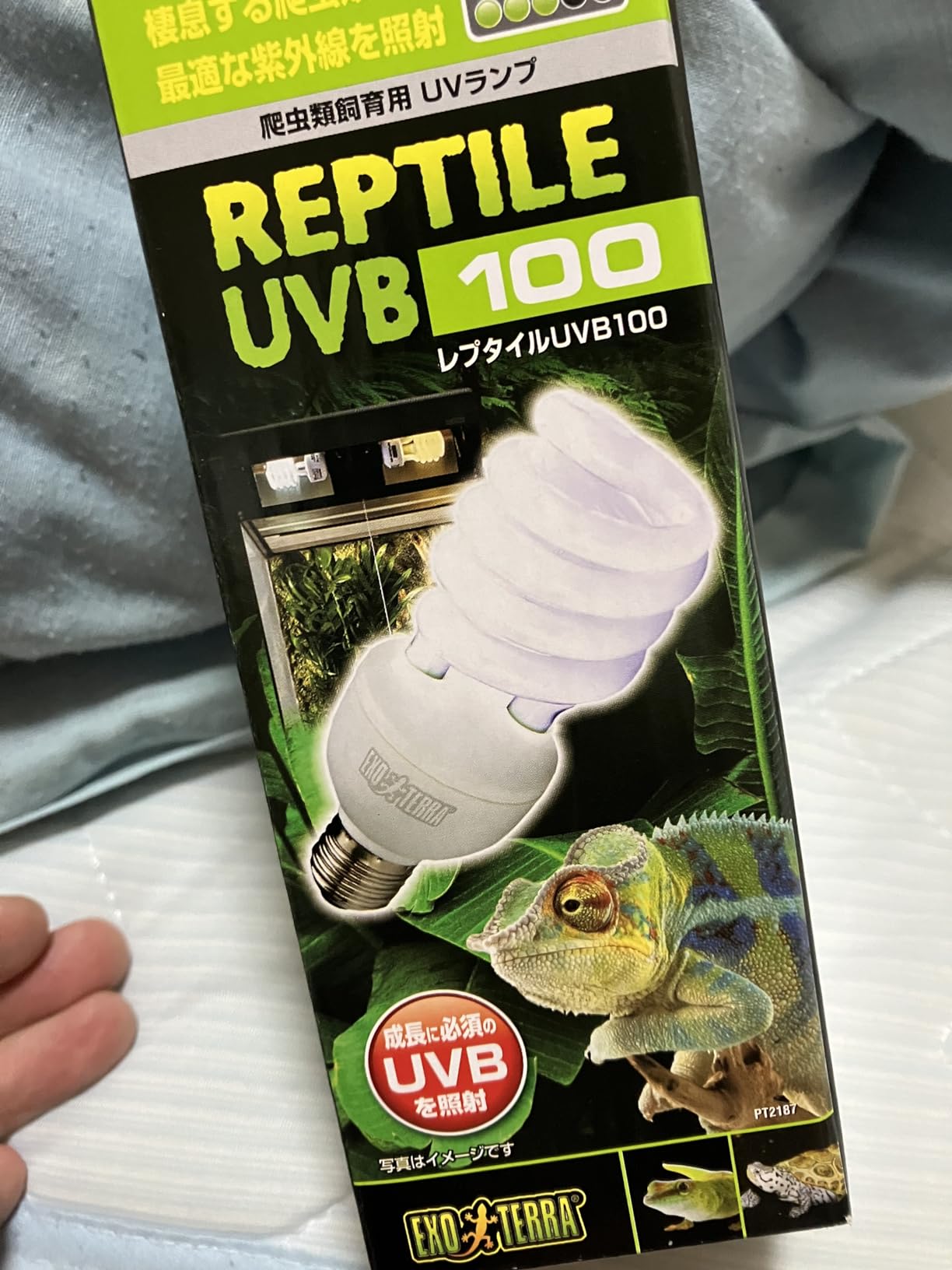Amazon | ジェックス EXO TERRA エキゾテラ GEX EXOTERRA レプタイルUVB100 26W PT2187 熱帯・亜熱帯 爬虫類用 紫外線ライト 熱帯・亜熱帯に棲息 ...