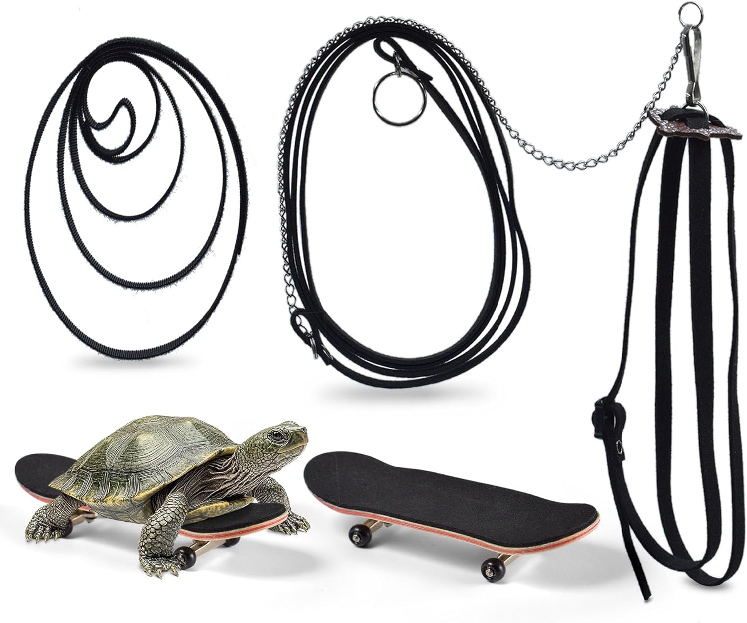 Amazon.com : JJMOLLE Turtle Leash and Skateboard, Adjustable Tortoise ...