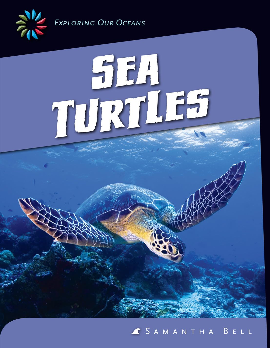 Sea Turtles (21st Century Skills Library: Exploring Our Oceans): Bell ...