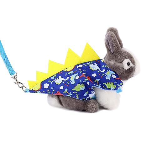 Amazon.com : Mogoko Halloween Rabbit Harness with Leash, Cute Dinosaur Dress Halloween Costumes ...