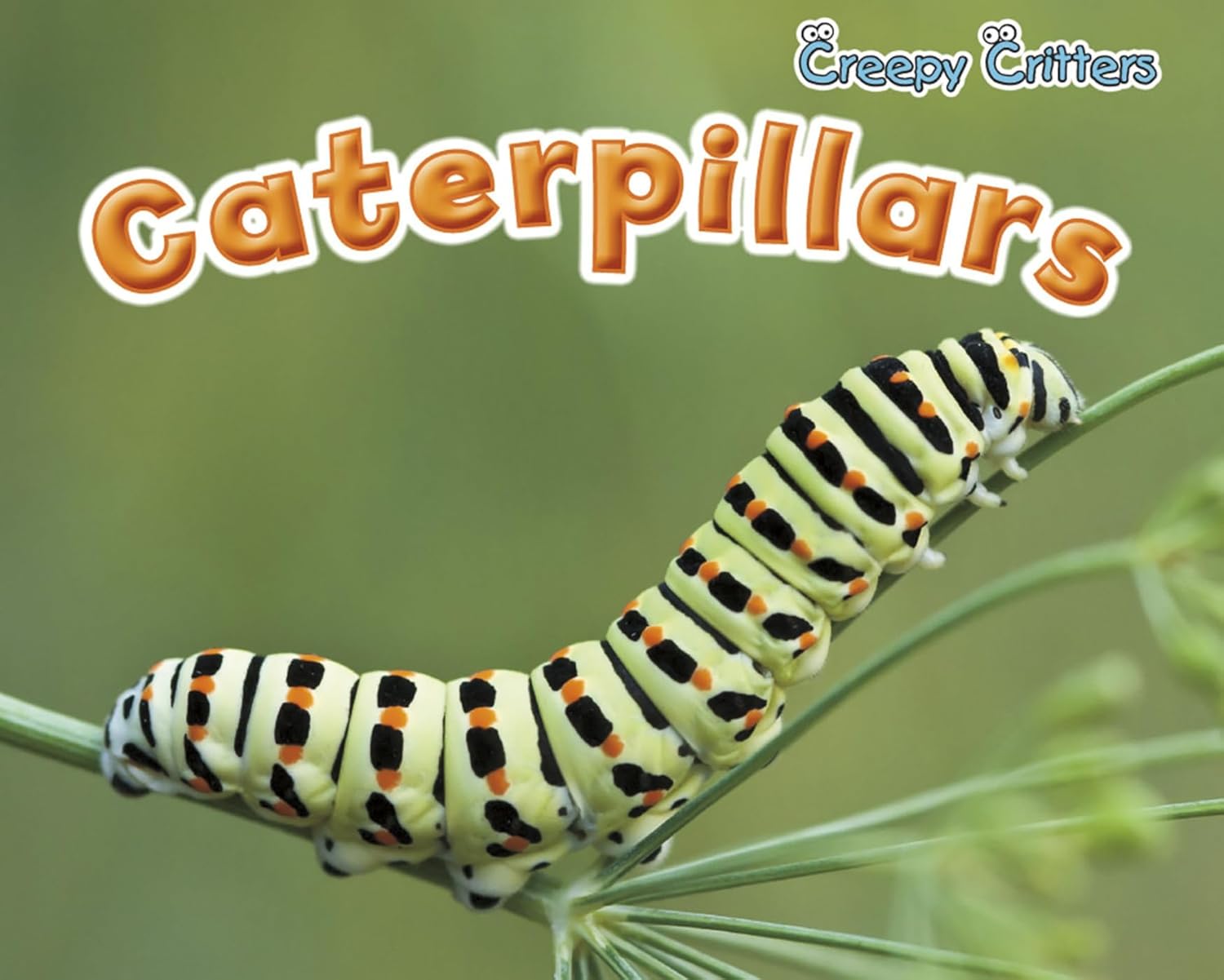 Amazon.com: Caterpillars (Creepy Critters): 9781410948175: Rissman ...