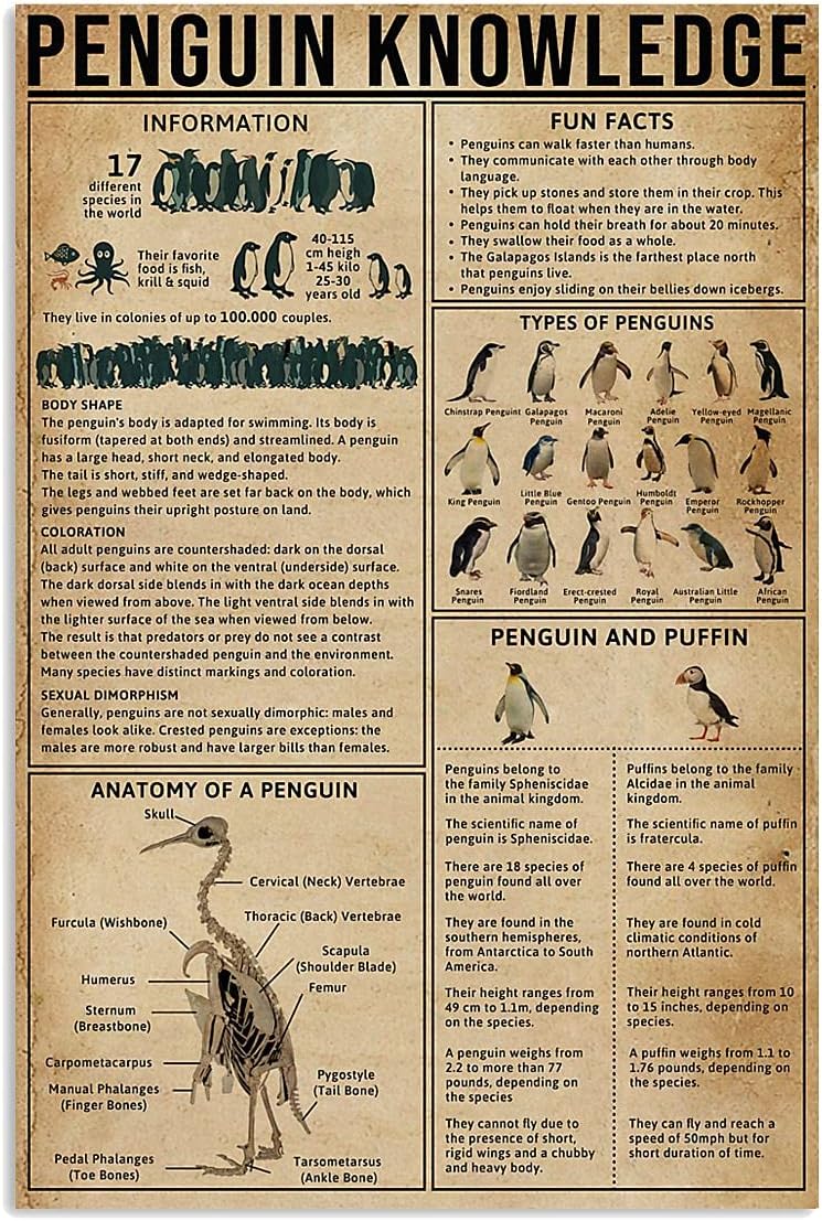 Amazon.com: Penguin Knowledge Metal Tin Signs Penguin Information Retro ...
