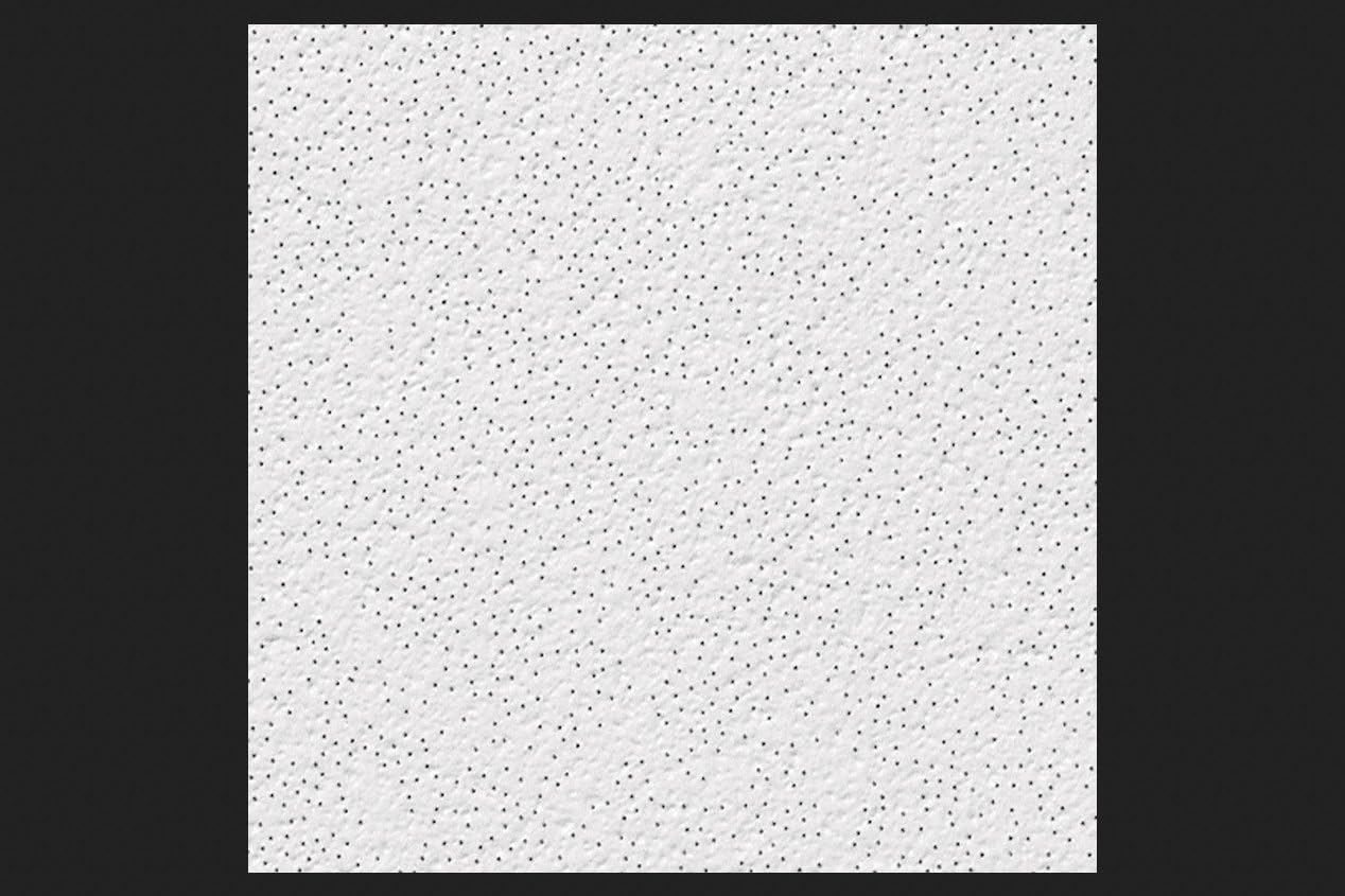 Amazon.com: CEILING TILE ALPINE 2X2' : Home & Kitchen