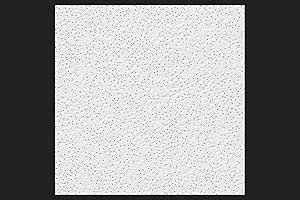 Amazon.com: CEILING TILE ALPINE 2X2' : Home & Kitchen