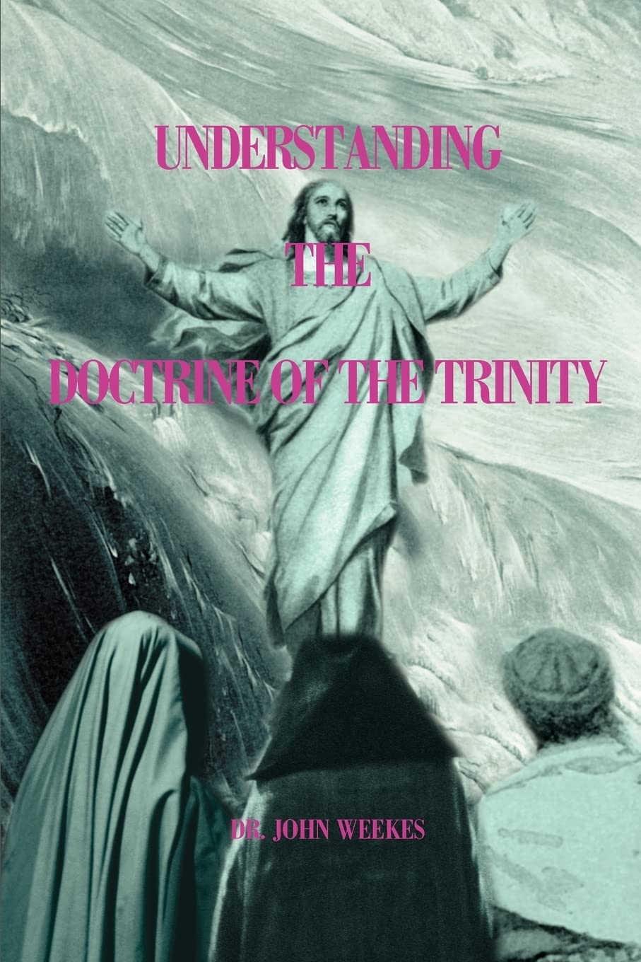 Amazon.com: Understanding The Doctrine Of The Trinity: 9780595178391 ...
