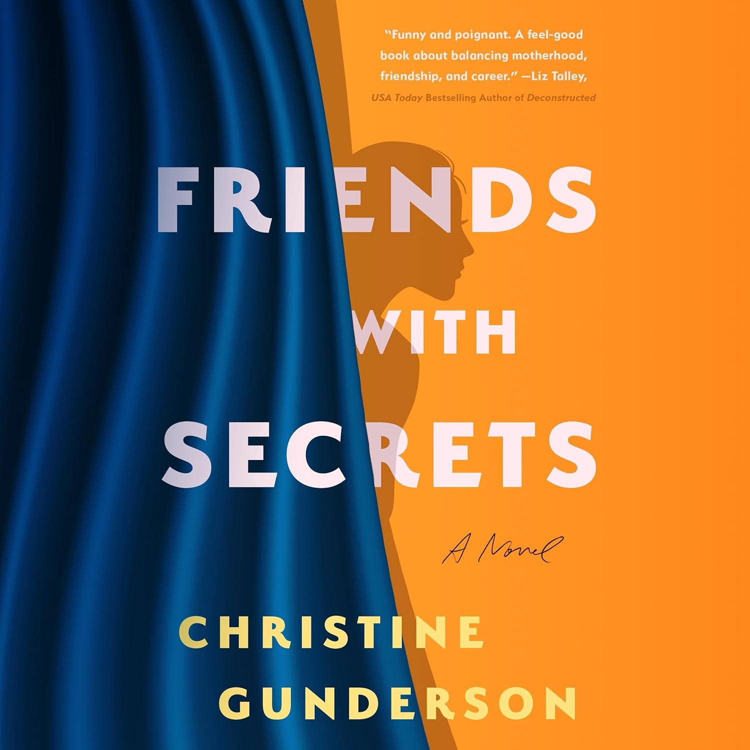 Amazon.com: Friends with Secrets: A Novel (Audible Audio Edition ...