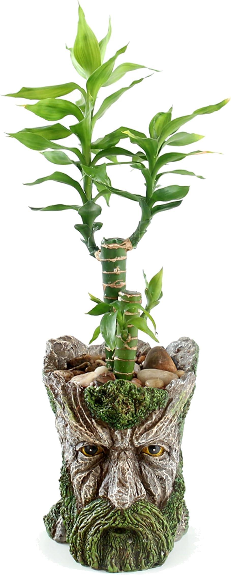 Amazon.com : Bear and Wolf Studio 3D Printed Hand-Painted Exclusive Bag ...