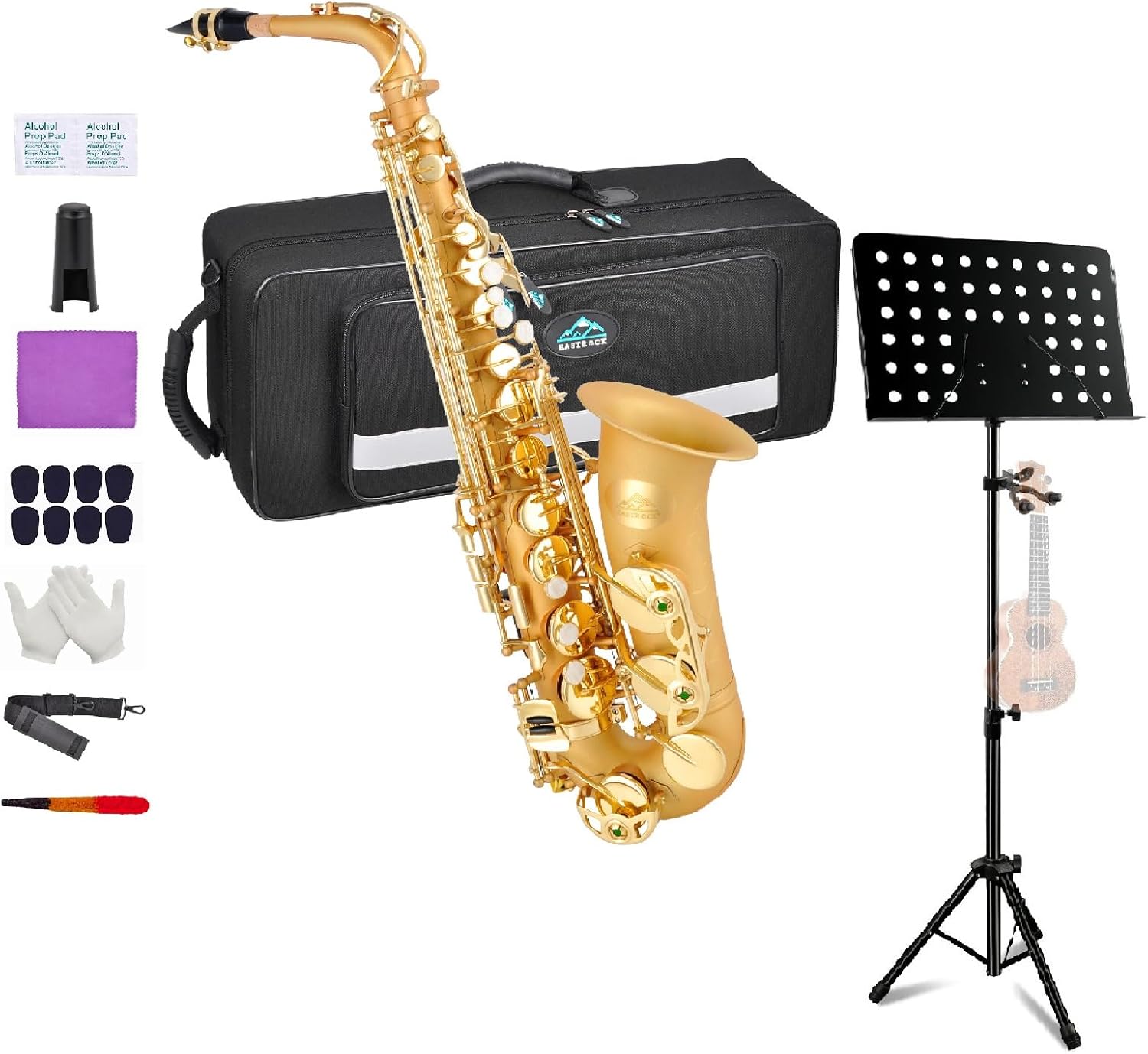 Amazon.com: EASTROCK Golden Alto Saxophone E Flat Sax and Metal Sheet ...