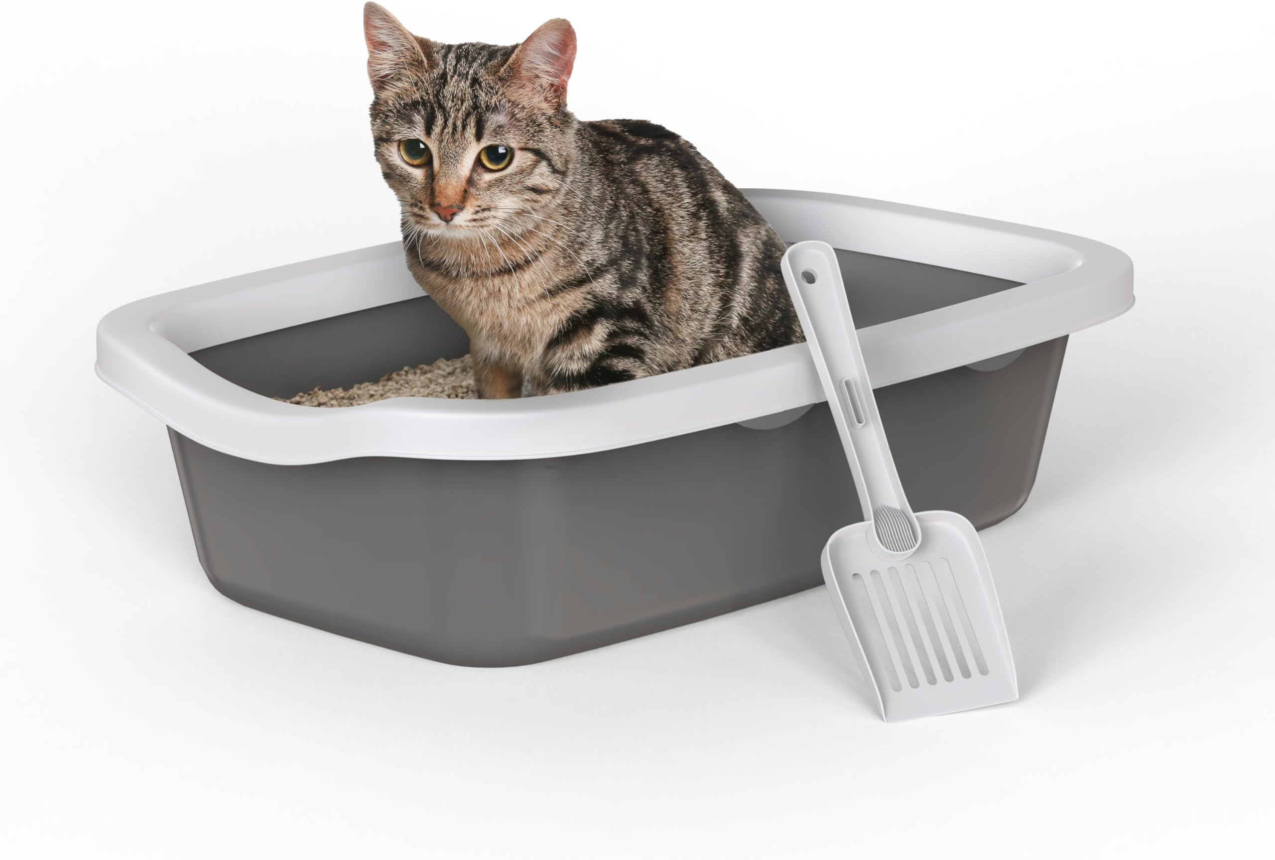 Cat Litter Tray Large 48cm : Amazon.co.uk: Pet Supplies