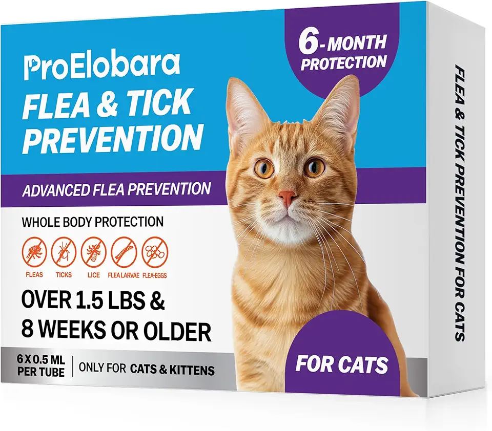 The Ticked Tabby Cat: A Unique Fur Pattern | PetShun