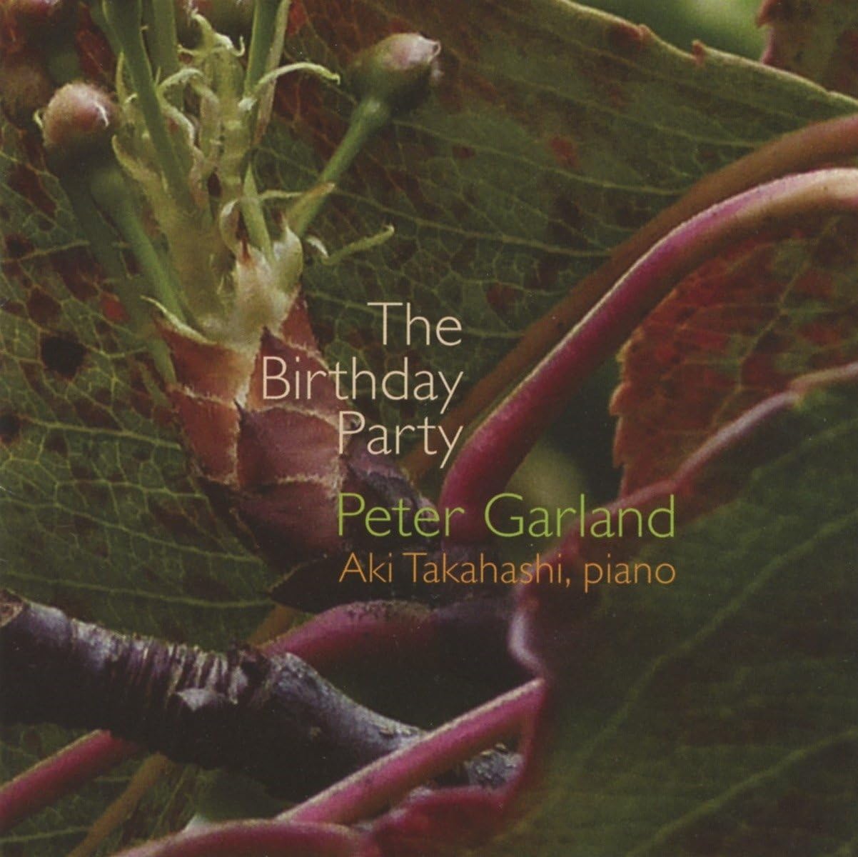 Peter Garland - The Birthday Party: Amazon.co.uk: CDs & Vinyl