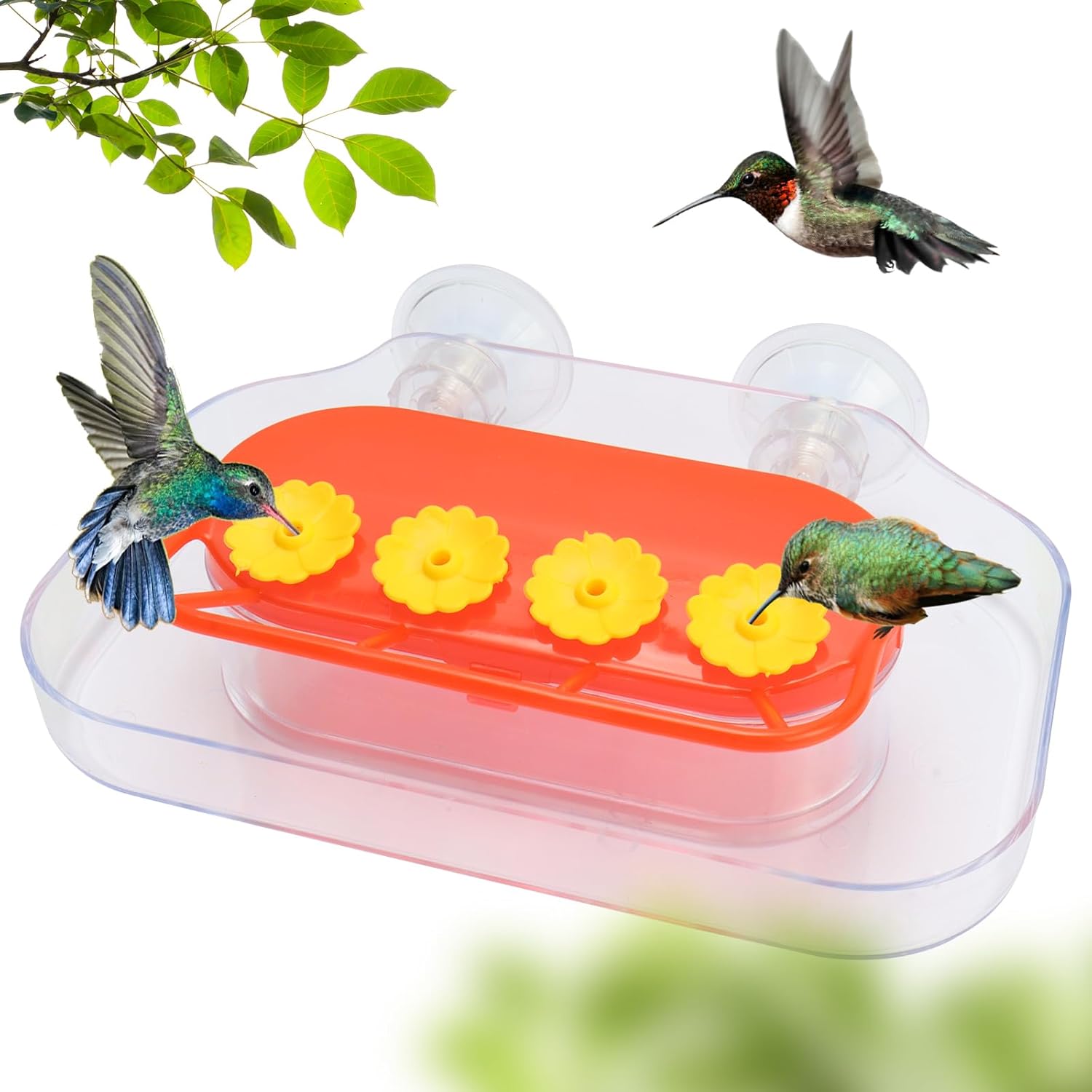 Window Bird Feeders,Window Hummingbird Feeders Suction Cup Feeding ...