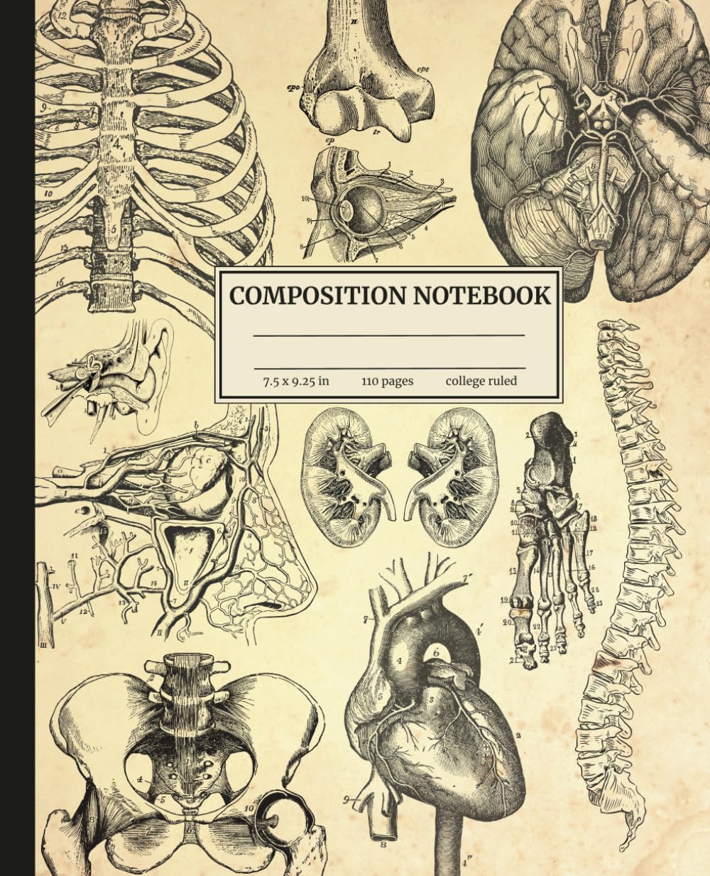 Composition Notebook: Vintage Human Anatomy | Unique Medical ...