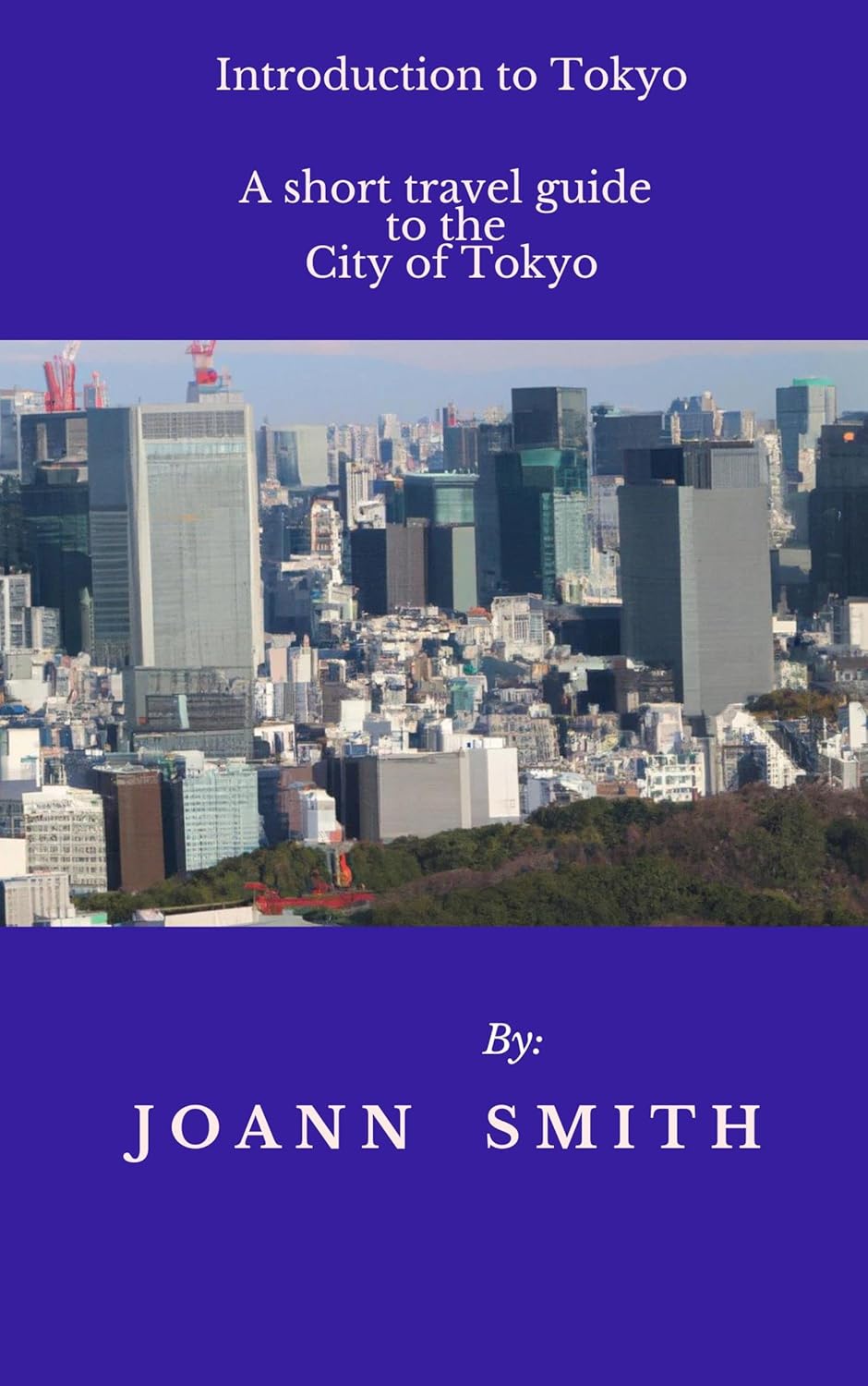 Amazon.com: Introduction to Tokyo : A short Travel Guide to the City of ...