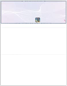 Amazon.com : EZ Checks High Security Check Paper with Hologram & 20 ...