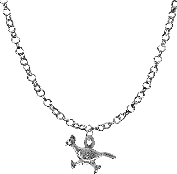 Amazon.com: Roadrunner Necklace, Adjustable 14-21 Inch Rolo Chain ...