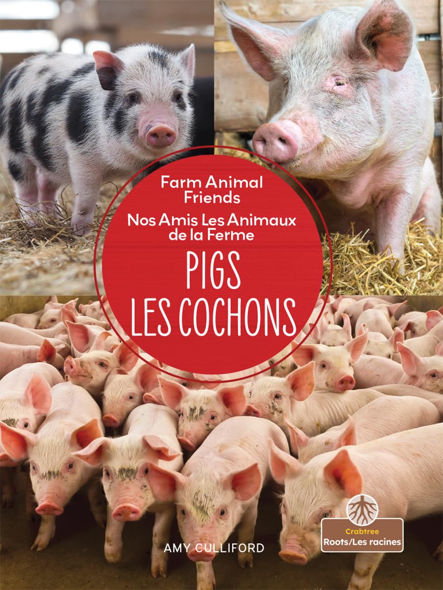 Amazon.com: Pigs (Les cochons) Bilingual Eng/Fre (Nos Amis Les Animaux ...