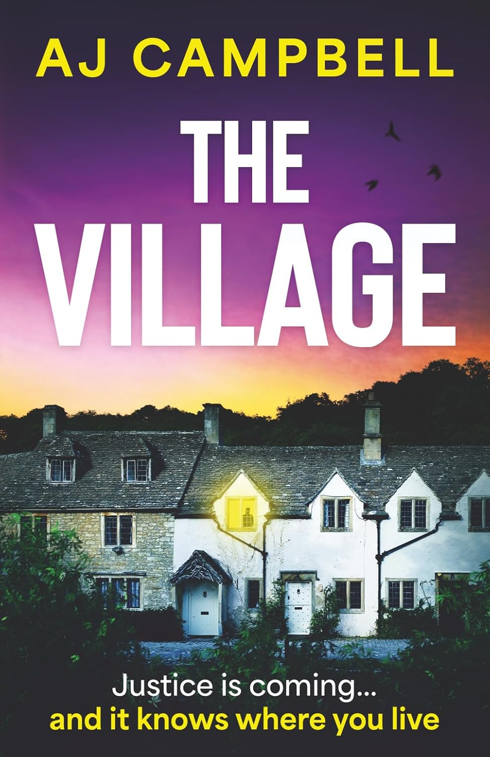 Amazon.com: The Village: 9781919332659: Campbell, AJ: Books