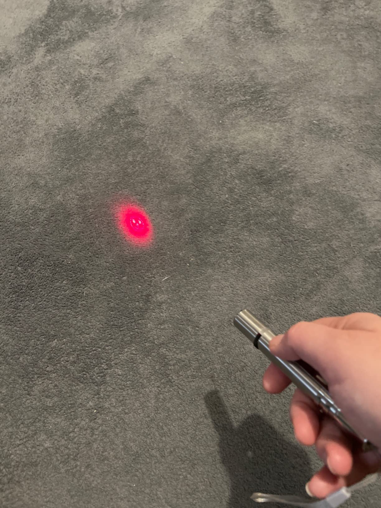 [Upgrade] BYETOO 7 in 1 Laser Pointer for Cat/Dog,Cat Dog Interactive ...