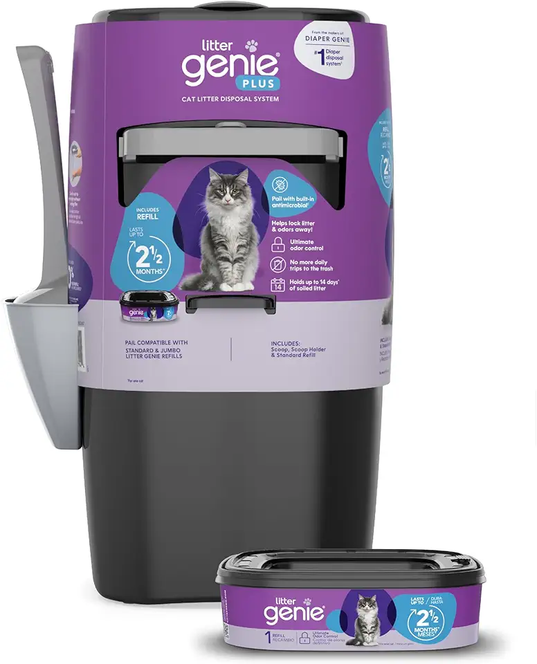 Creative Ways To Reuse And Recycle Used Cat Litter | PetShun