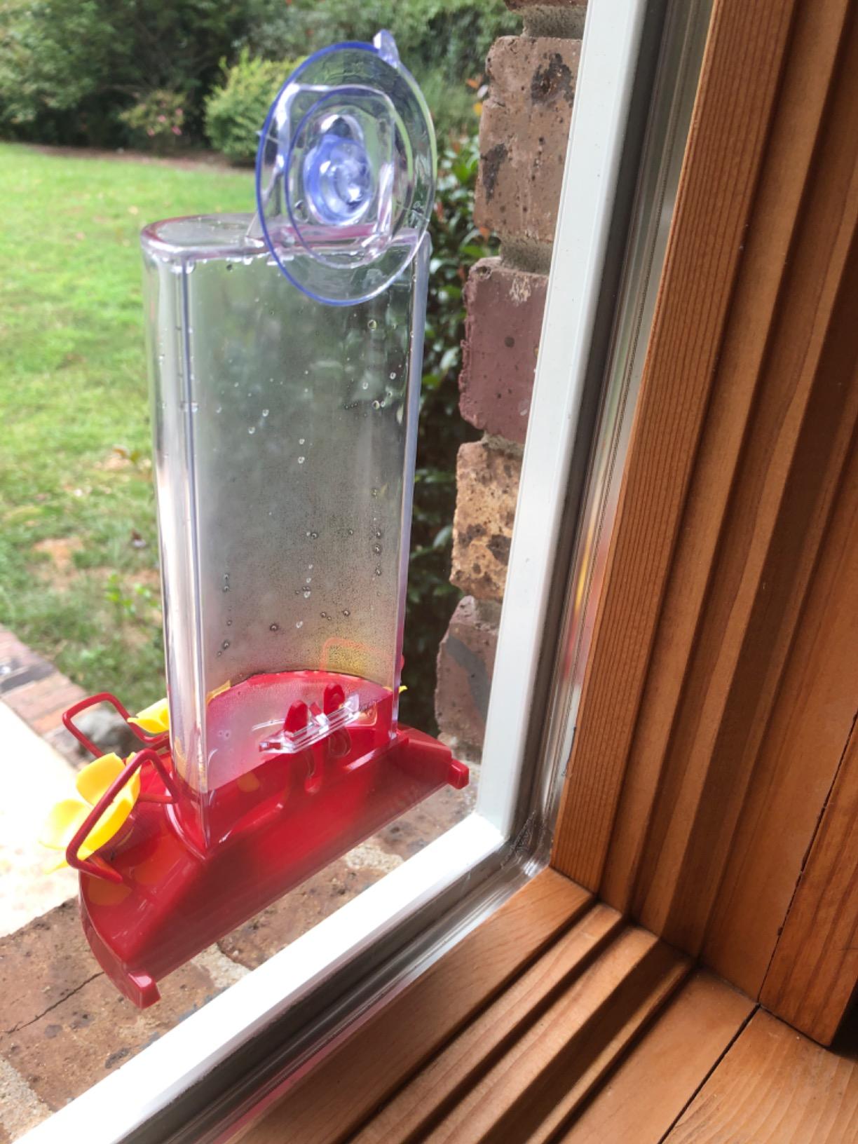 Amazon.com : WINDOW MOUNT HUMMINGBIRD FEEDER : Patio, Lawn & Garden