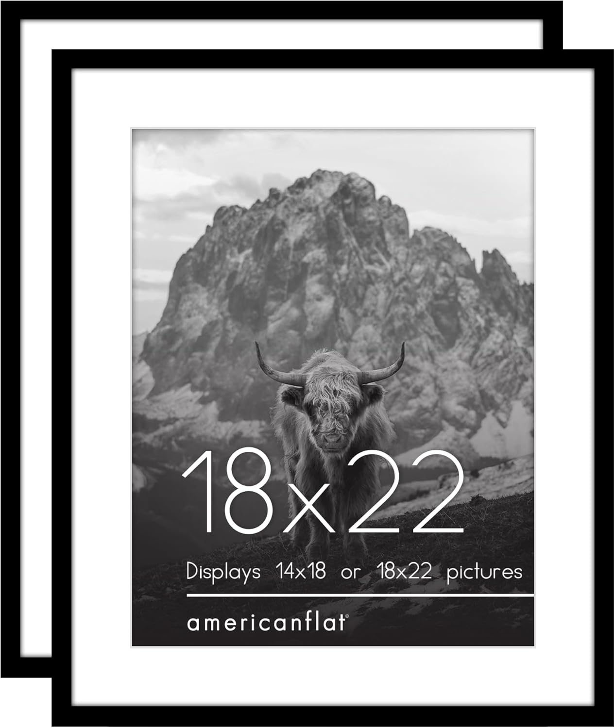 Amazon.com - Americanflat 18x22 Picture Frame with Polished Plexiglass ...