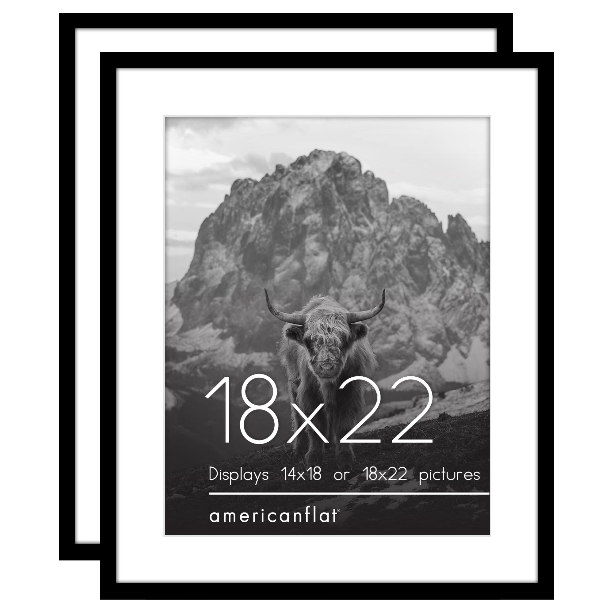 Amazon.com - Americanflat 18x22 Picture Frame with Polished Plexiglass ...