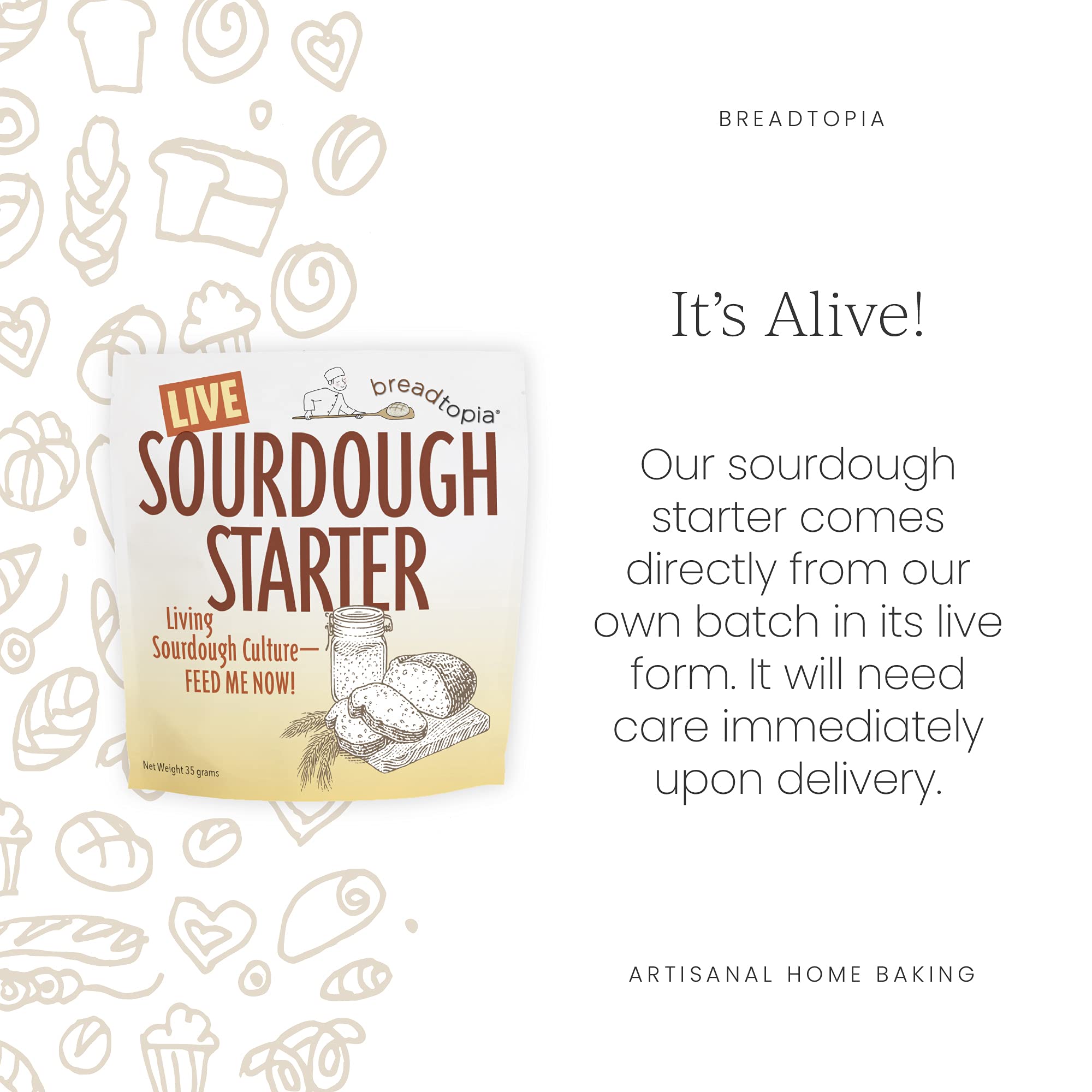Buy Breadtopia Sourdough Starter (Live) | Made from Non-GMO & Organic ...