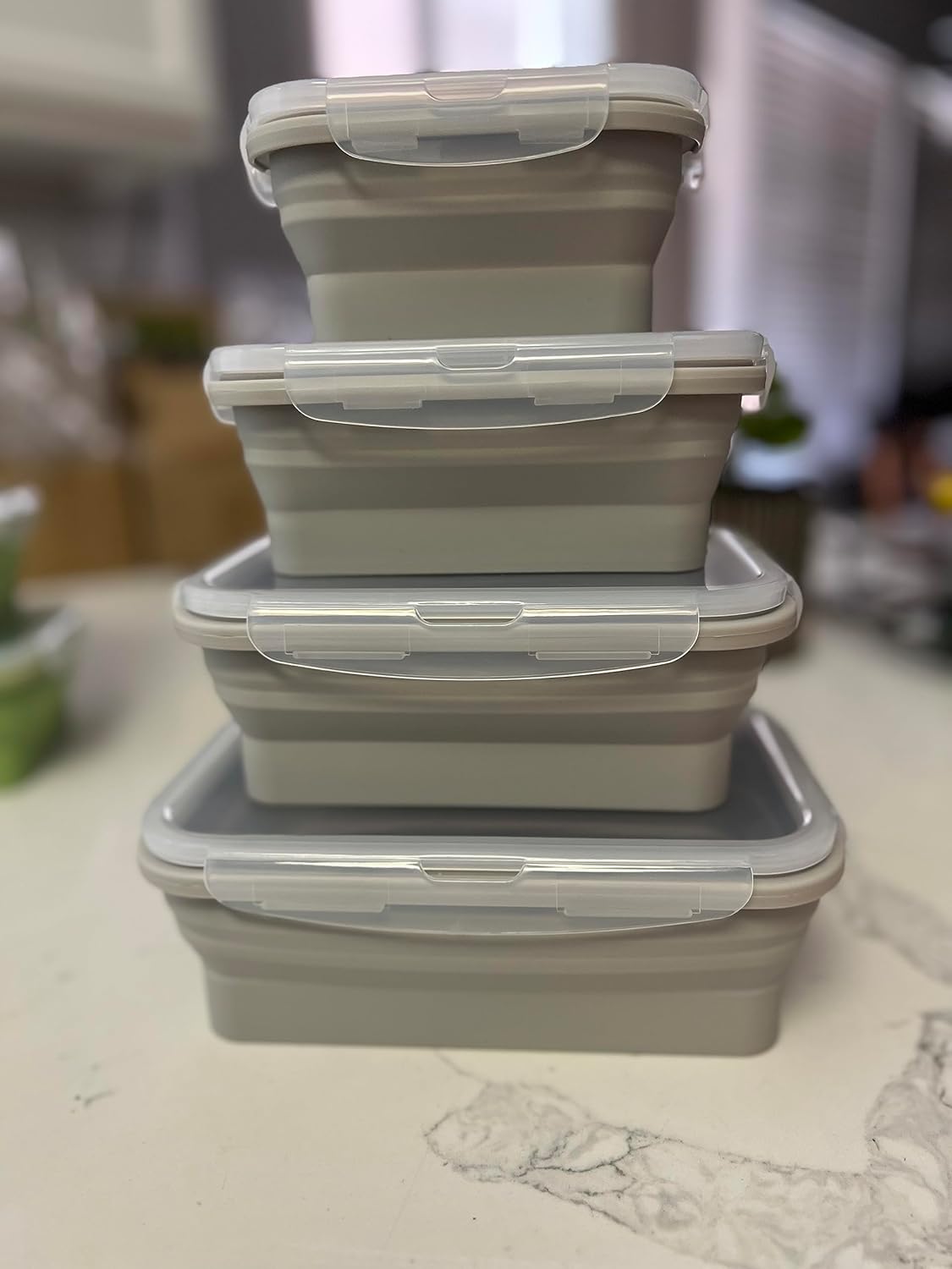 Amazon.com: Collapsable Food Storage Containers With Lids (Grey): Home ...
