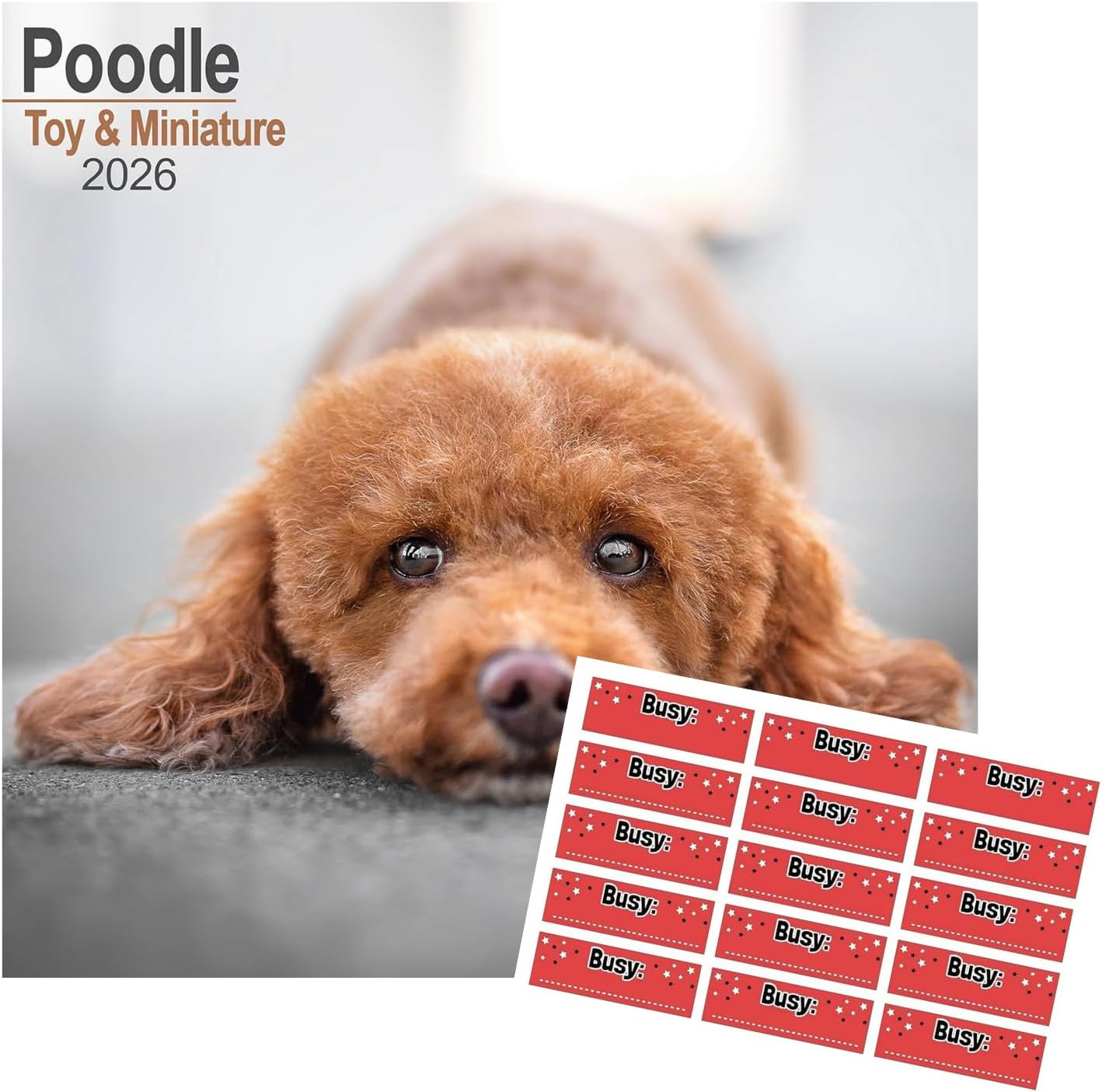 Poodle Toy & Miniature Calendar 2026 | 16 months | with FREE ...