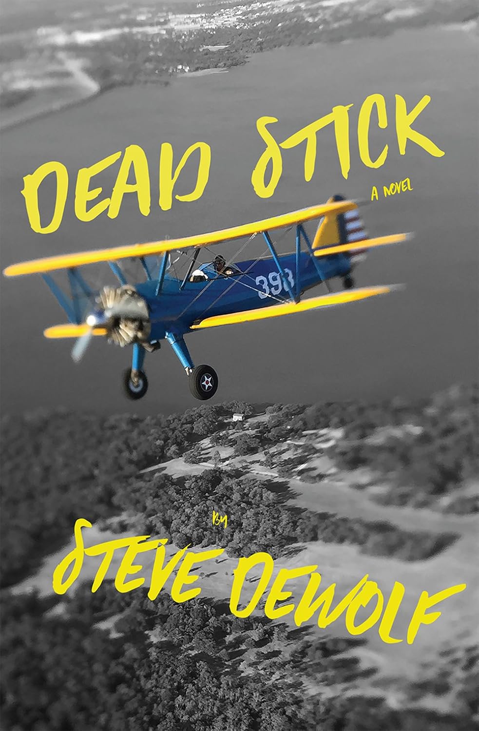Amazon.com: Dead Stick: 9781622881819: DeWolf, Steven: Books