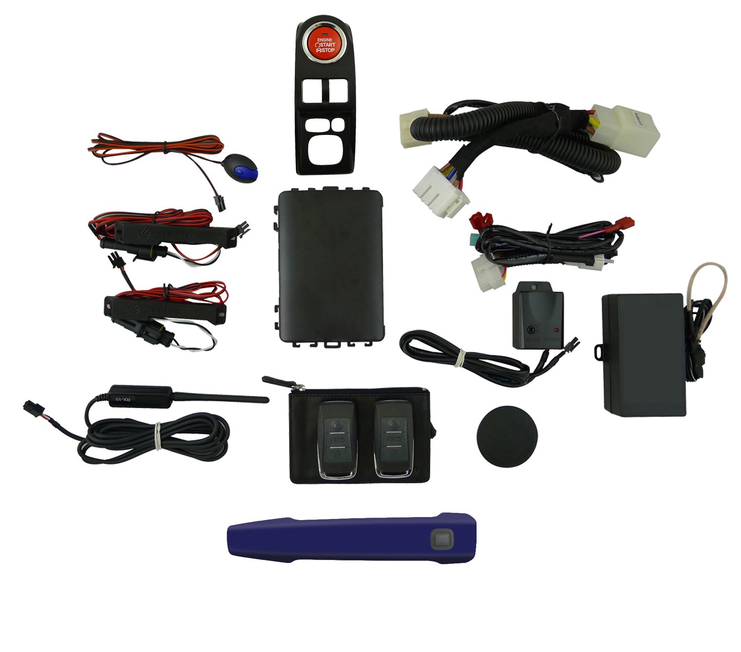 Buy EasyGO AM-STI-F9T Smart Key Remote Start and Alarm System with ...