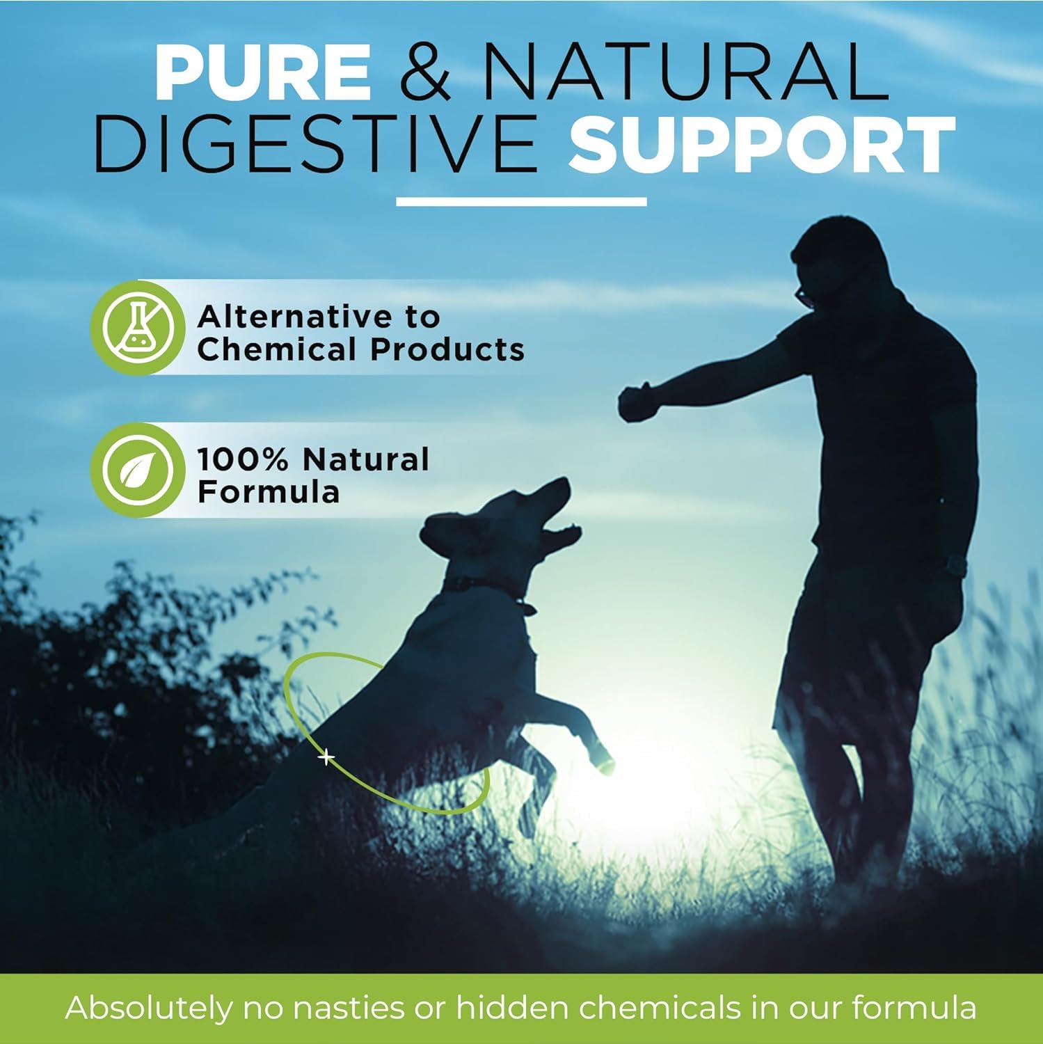 Twin Pack Natural Dewormer For Dogs & Cats | Intestinal Tract Support ...