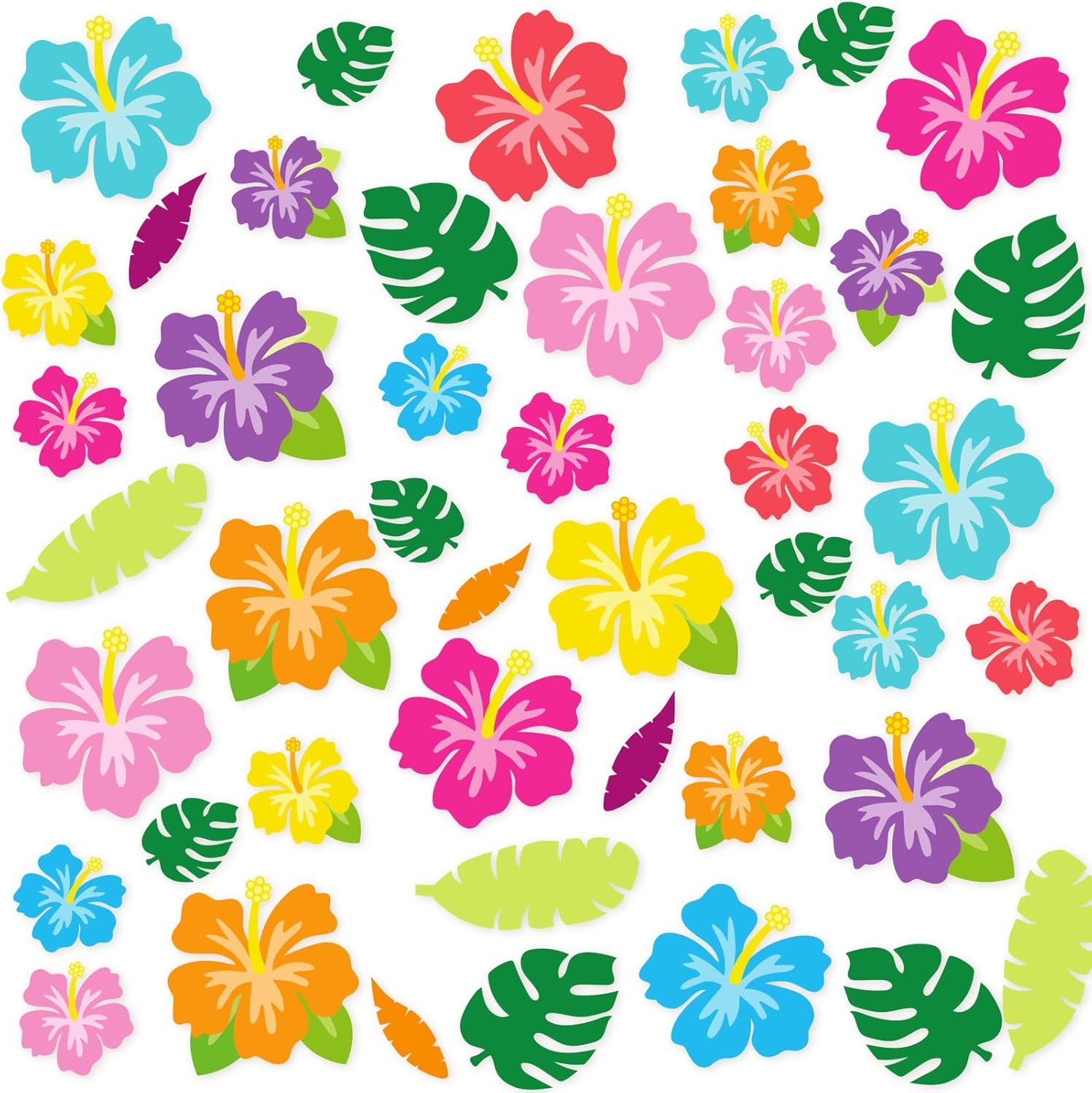 Amazon.com: Bulletin Board Decorations, Tropical Classroom Decoration ...