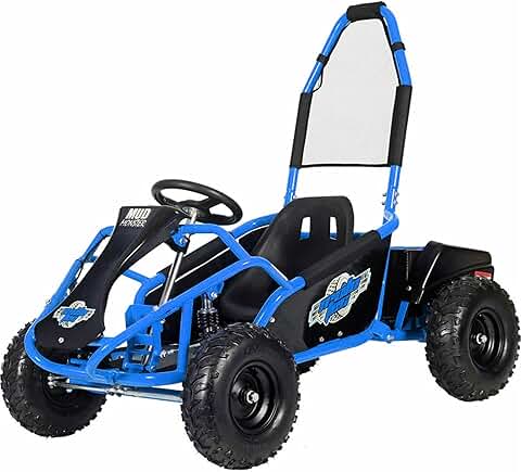 Amazon.com: electric go kart