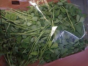 Fresh Methi, 250g : Amazon.in: Grocery & Gourmet Foods