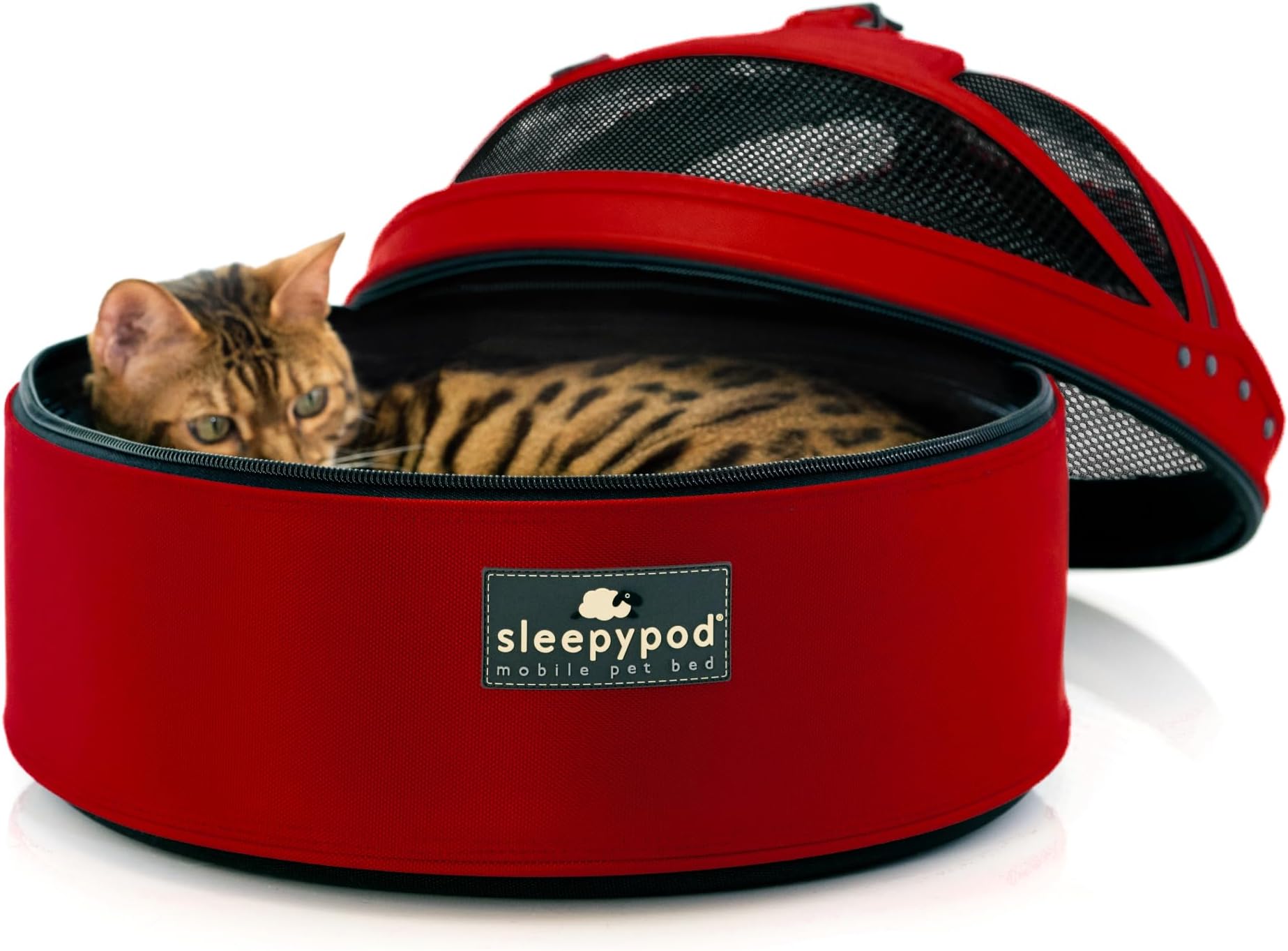Amazon.com : Sleepypod Mobile Pet Bed Robin Egg Blue Limited Edition ...