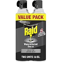 2-Count Raid Wasp & Hornet Killer Spray 14 Oz