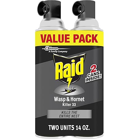Amazon.com: Raid Wasp & Hornet Killer Spray, Bug Killer Kills the ...