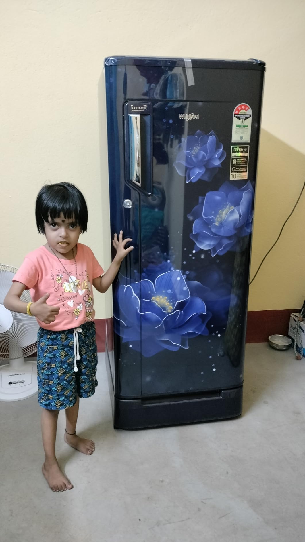 Whirlpool Ice Magic Powercool 190 L 4 Star Inverter Direct-Cool Single ...