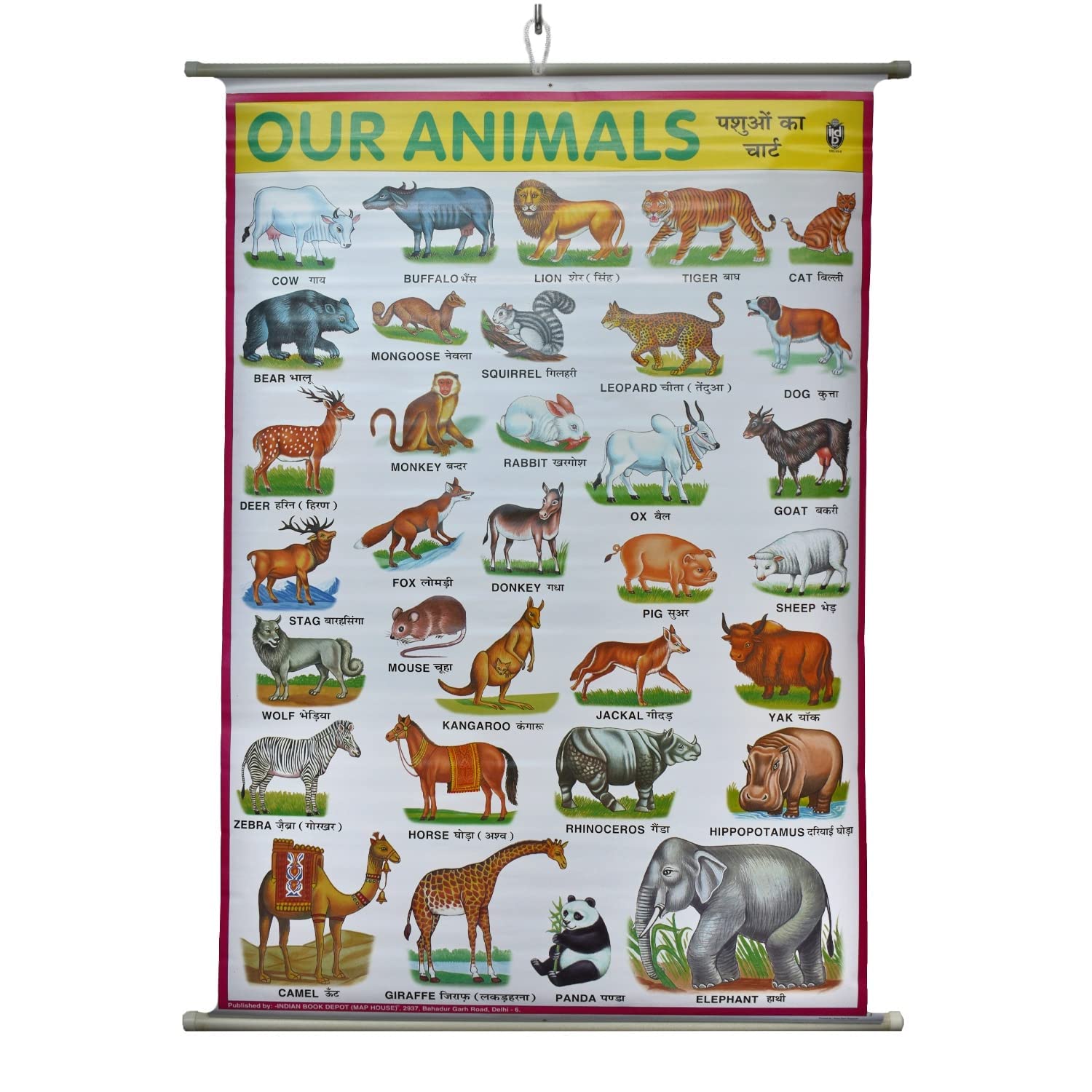 Buy Our Animals Chart Laminated Wall Chart (Size 100X75 CM) Perfect for ...