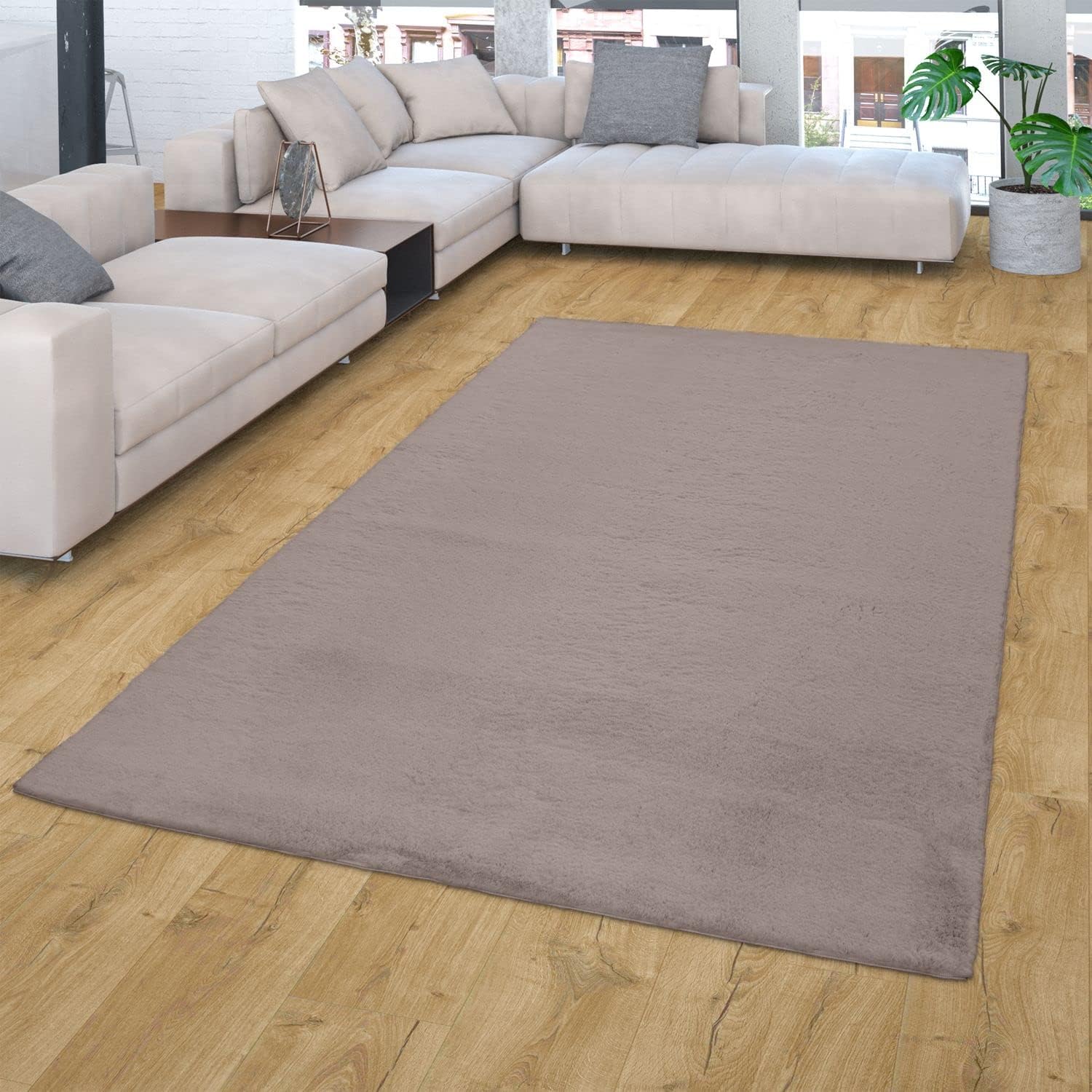 Thick Rug Large Rug Livingroom Soft Unicoloured Modern, colour: Beige ...