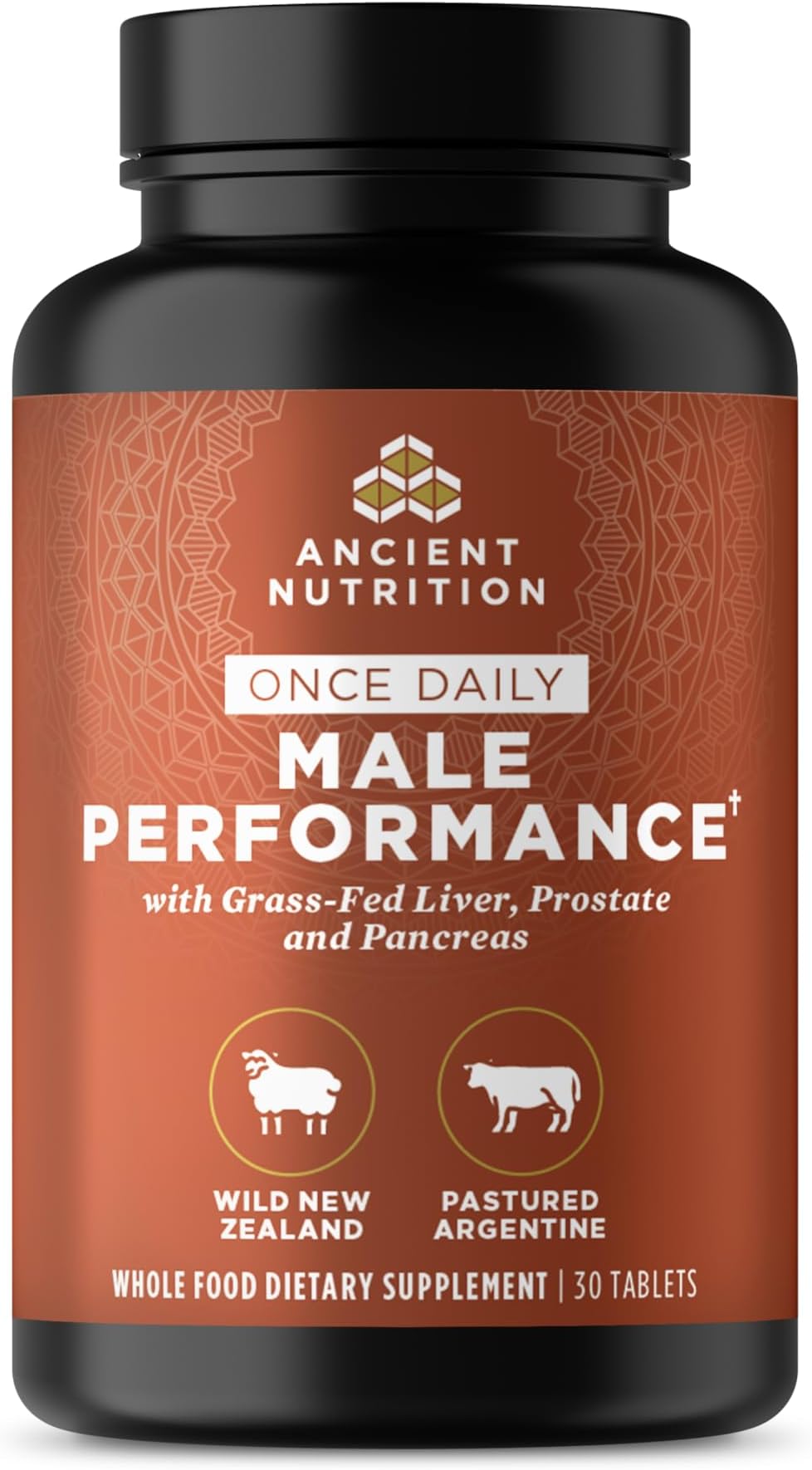 Amazon.com: Ancient Nutrition Organ Supplements for Men, Once Daily ...