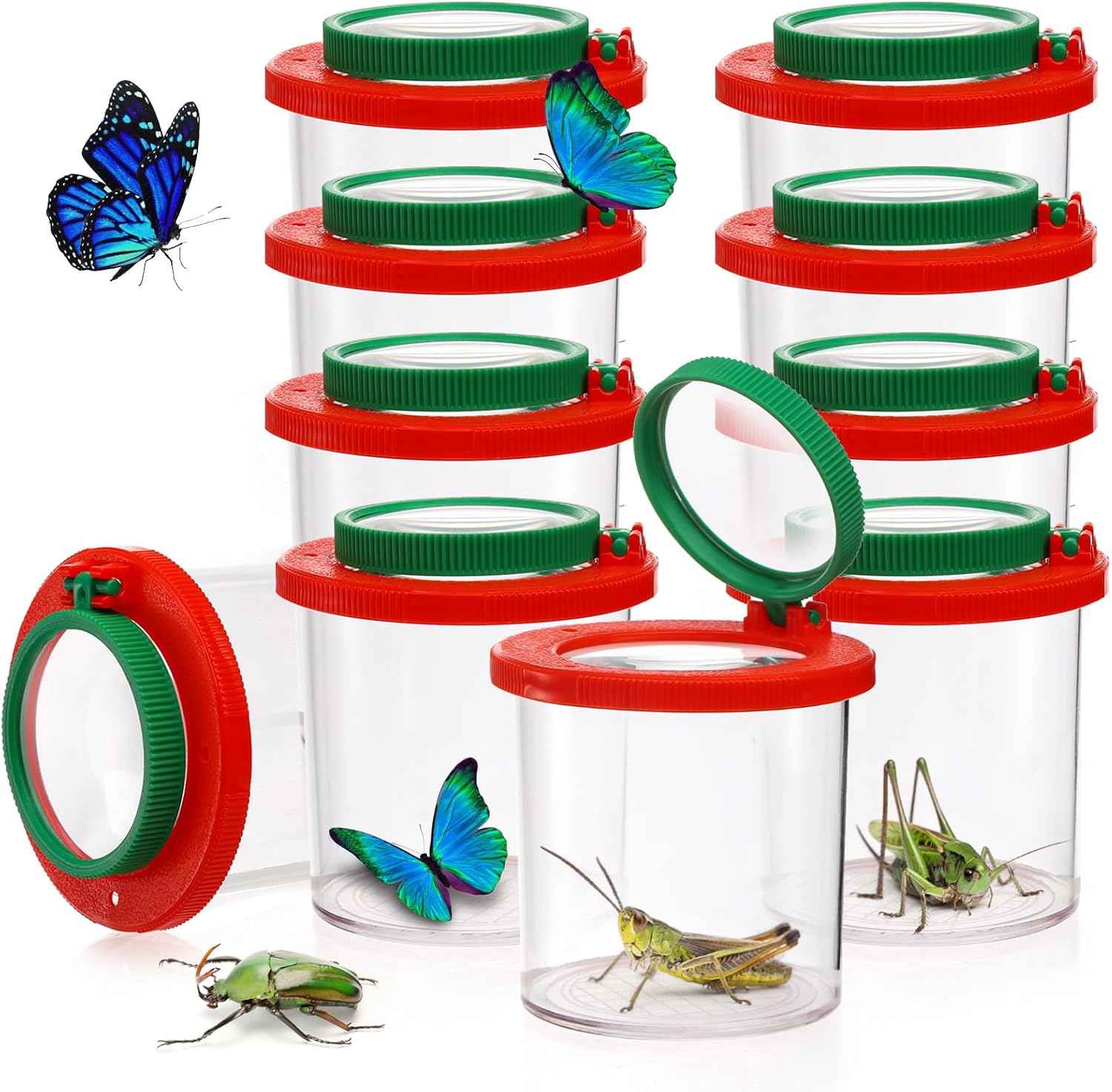 Amazon.com: Coloch Set of 10 Insert Bug Viewer for Kids, Magnifying Insect Box, Bug Magnifier ...