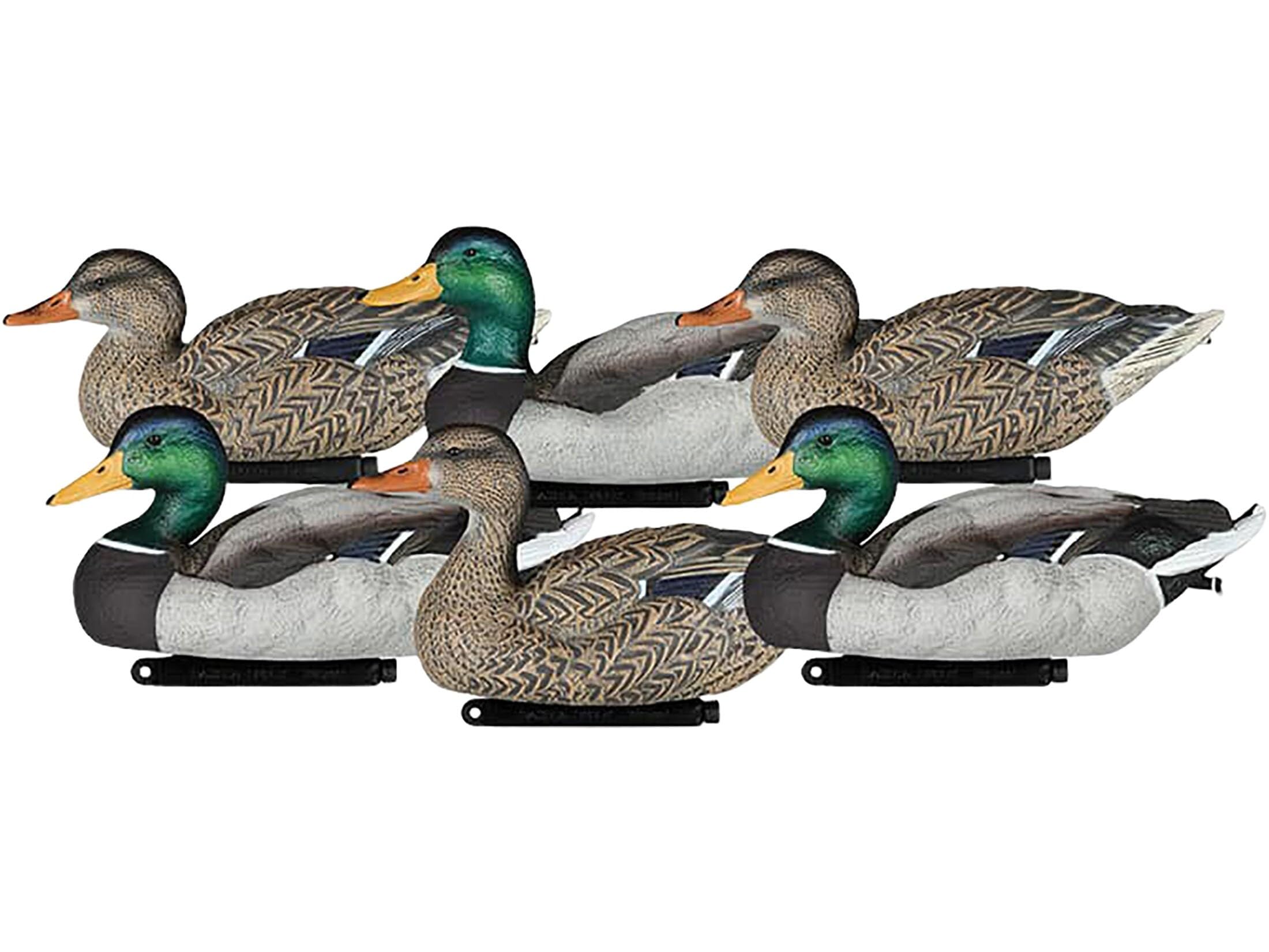 Amazon.com : DAKOTA DECOY Collapsible PH Floating Mallard 6pk /20145 ...